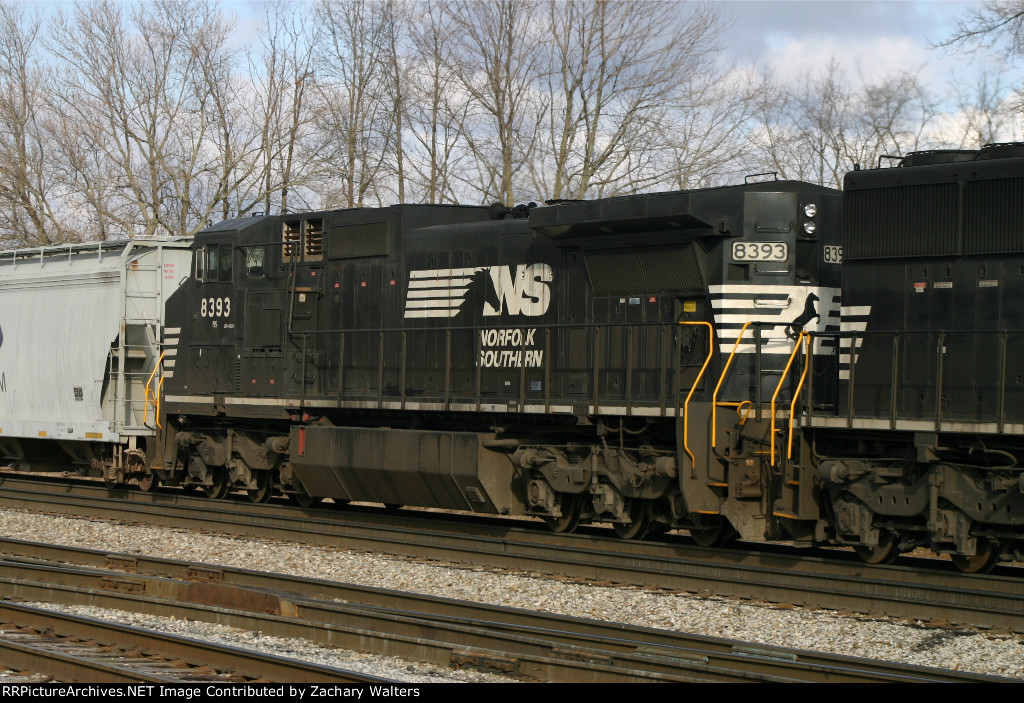 NS 8393